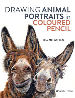 Drawing Animal Portraits in Coloured Pencil | Angus & Robertson