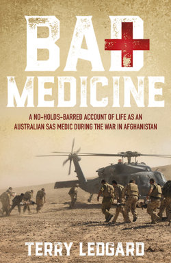 Bad Medicine | Angus & Robertson