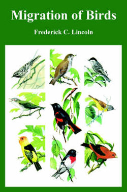 Migration of Birds | Angus & Robertson