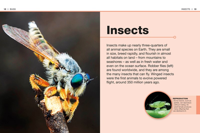 Pocket Eyewitness Insects | Angus & Robertson