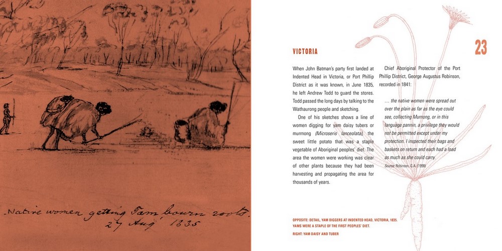 Young Dark Emu | Angus & Robertson